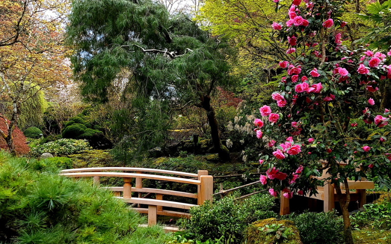 Enchanting Butchart Gardens and Victoria Full-Day Tour